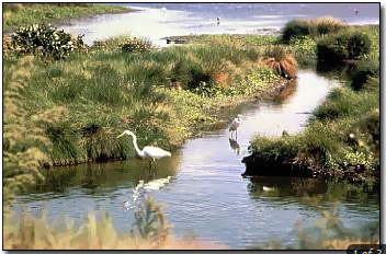 Biological & Environmental Monitoring - Compliance Solutions